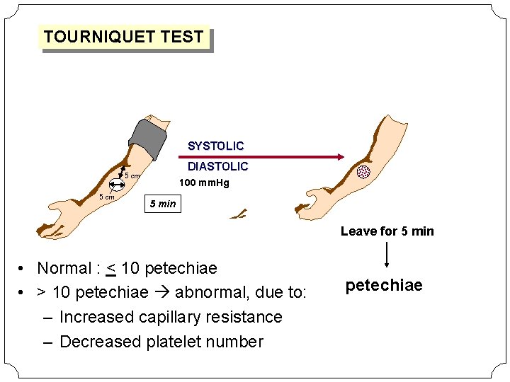 Marilah kita membiasakan diri menjadi manusia yang jujur