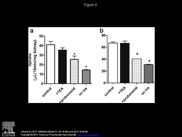 Different Involvement of OAT in Renal Disposition of