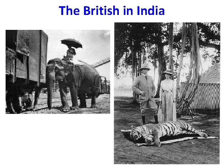 AP World History New Imperialism 1884 1914 Periods