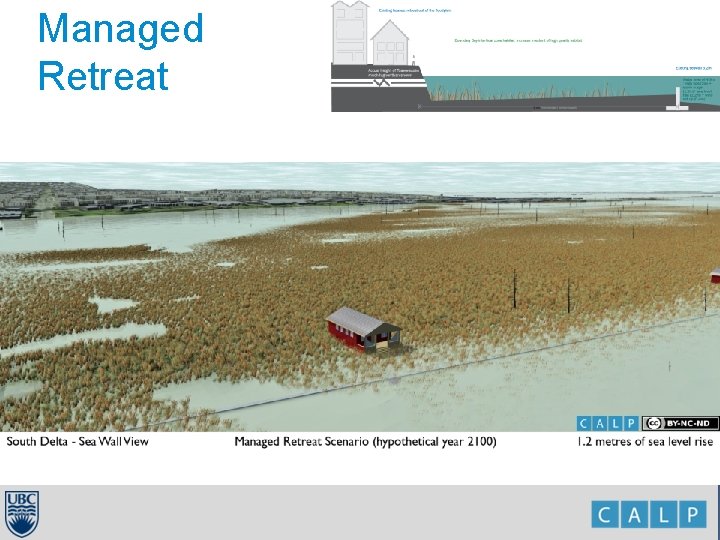 Sea Level Rise Adaptation Primer A toolkit to