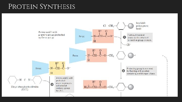 Biochem Proteins Intro chirality C is chiral center