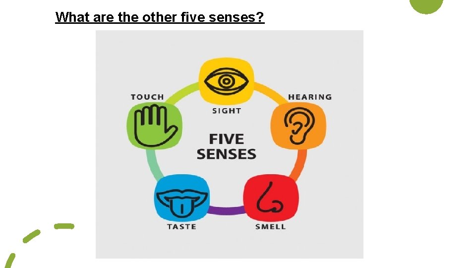 WALT Describe using our senses Today you will