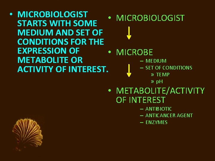 EXPERIMENTAL DESIGN FOR IMPROVEMENT OF FERMENTATIONSPLACKETTBURMAN ...