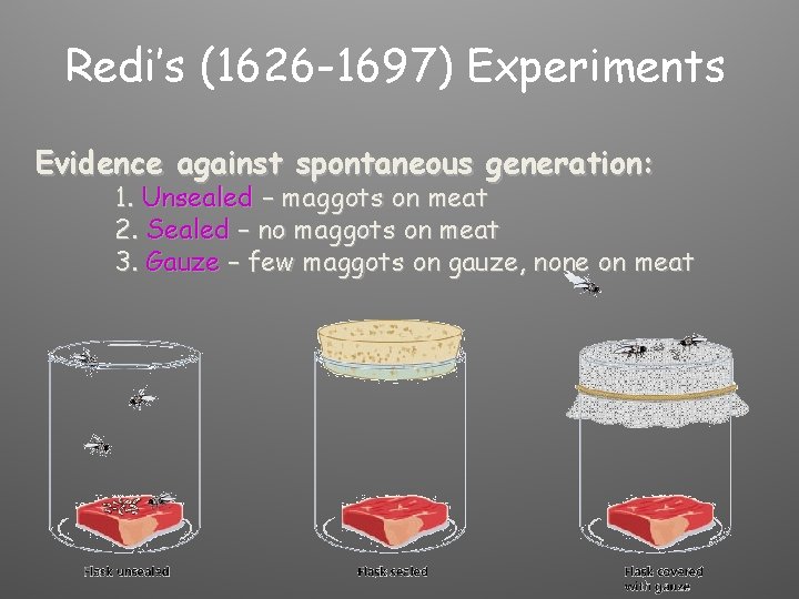 History of Microbiology Dr Debalina Basu Aristotle Proposed