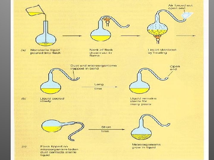 History of Microbiology Dr Debalina Basu Aristotle Proposed