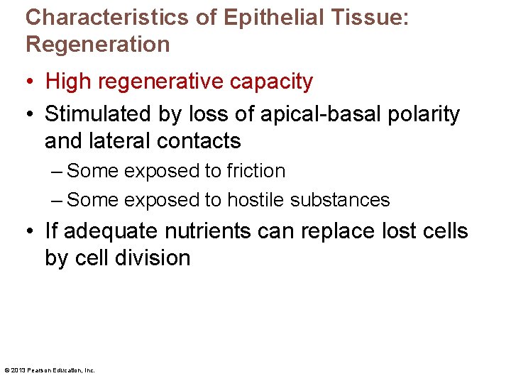 Power Point Lecture Slides prepared by Barbara Heard