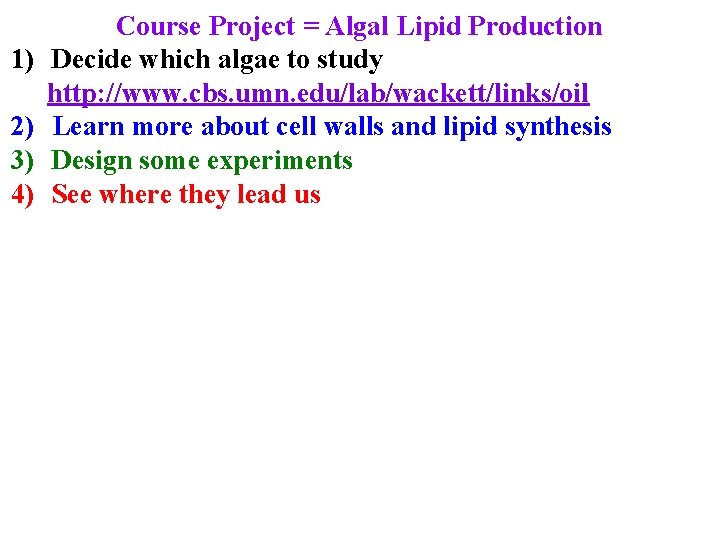 1 2 3 4 Course Project Algal Lipid