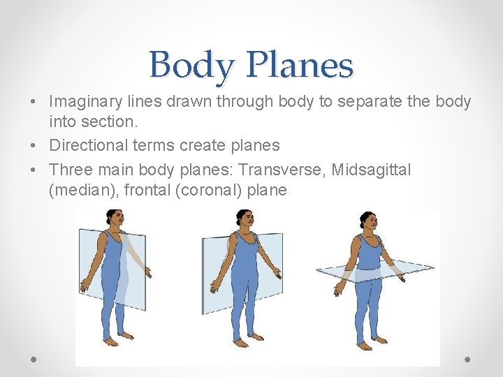Body Planes and Cavities Principles of Health Science