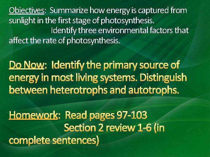 Photosynthesis Objectives Summarize how energy is captured from