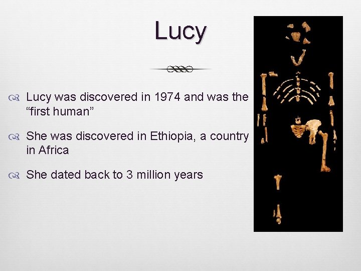 The Early Humans World History Good morning girls