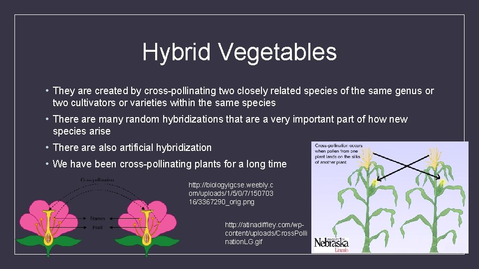 HYBRIDS C BY SHERRIL VALLIKALAM Major Points Hybrids