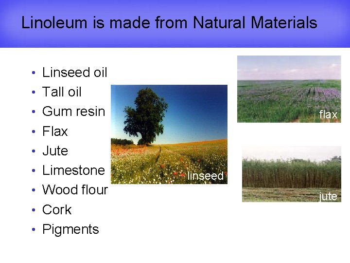 Sustainable Hard Surface Flooring Sponsored by Environmental Impact