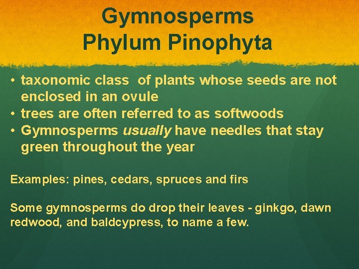 Tree Biology Ashley Peebles Delaware Forest Service Angiosperms