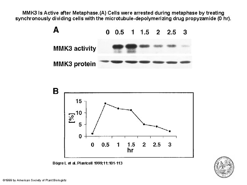 A MAP Kinase Is Activated Late in Plant
