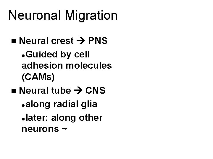 Development of Neural Circuits Lecture 4 Stages of