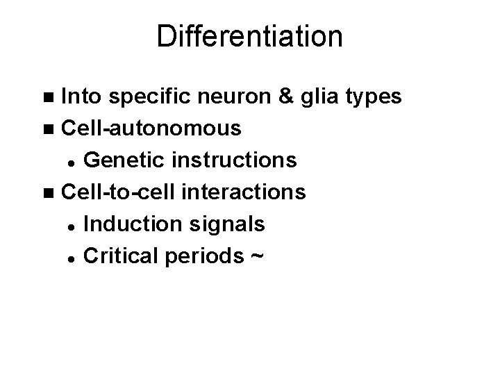 Development of Neural Circuits Lecture 4 Stages of