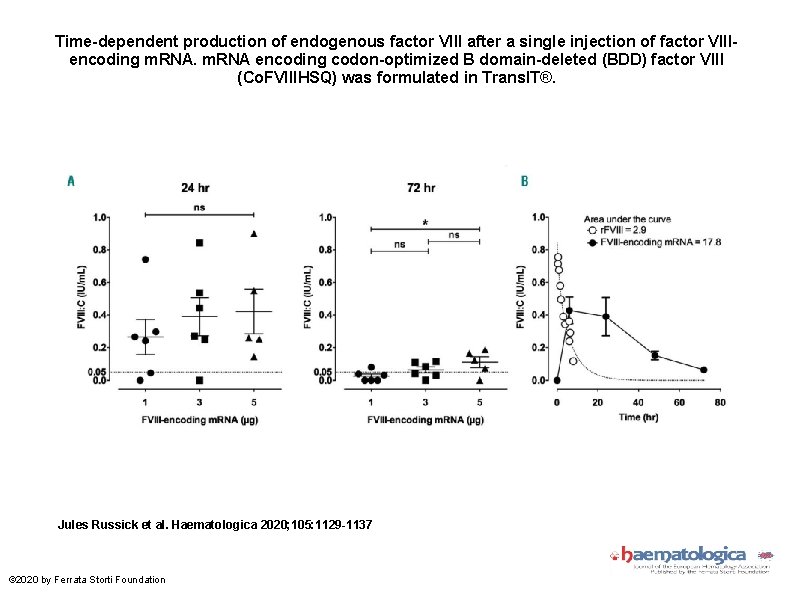 Correction of bleeding in experimental severe hemophilia A