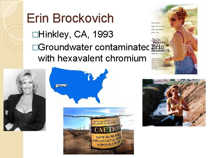 Environmental Pollution Chloe Schaefer Beth Himburg Sustainable Urbanism