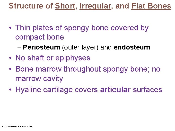 Power Point Lecture Slides prepared by Barbara Heard