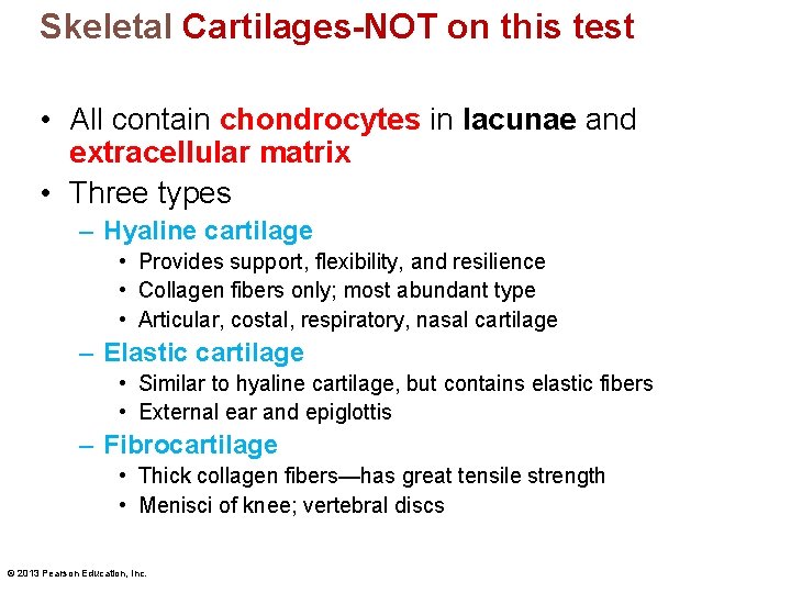 Power Point Lecture Slides prepared by Barbara Heard