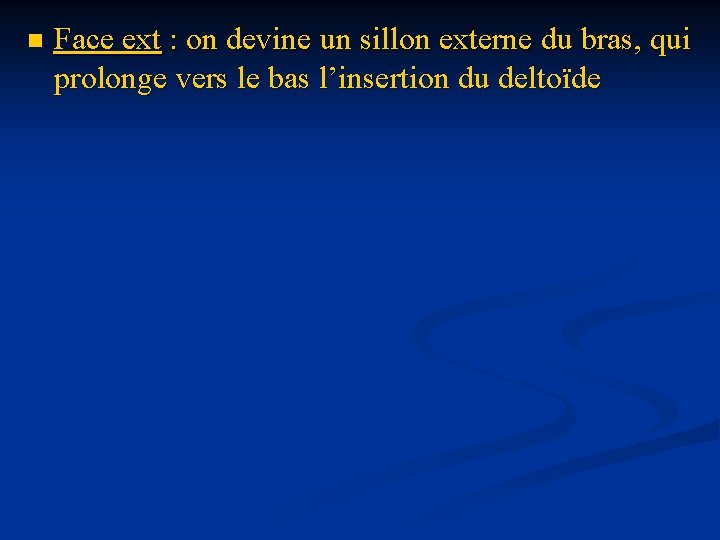 MORPHOLOGIE DU BRAS PRESENTATION TOPOGRAPHIQUE DU BRAS n