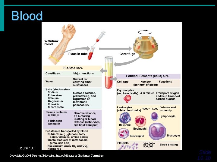 Blood An Overview Ch 10 a Challenge Problem