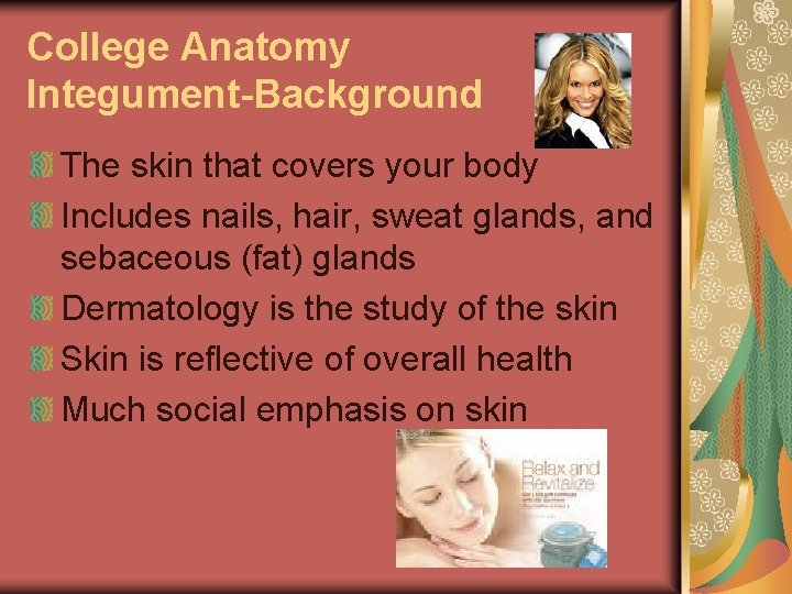 College Anatomy Lecture 5 The Integumentary System Southern