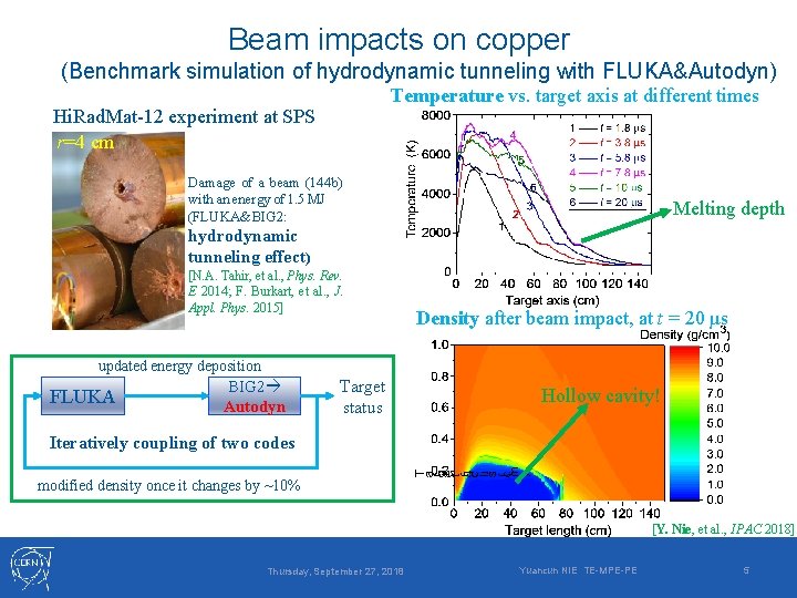Beam impacts on simplified targets cylinders made of