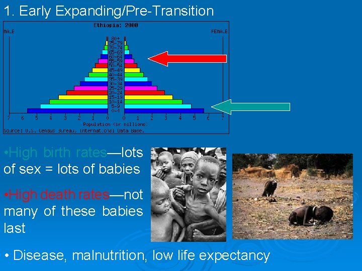 Chapter VIII Human Geography Notebook pp 186 231