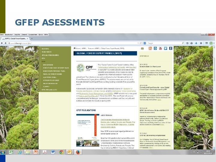 Science contributions by IUFRO to global policy processes