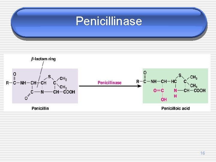 LECTURES IN MICROBIOLOGY Antimicrobial Agents LESSON 8 Sofronio