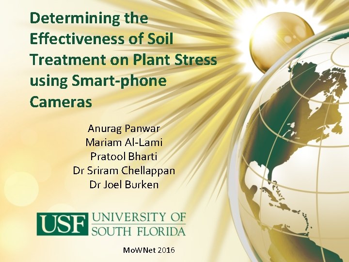 Determining the Effectiveness of Soil Treatment on Plant
