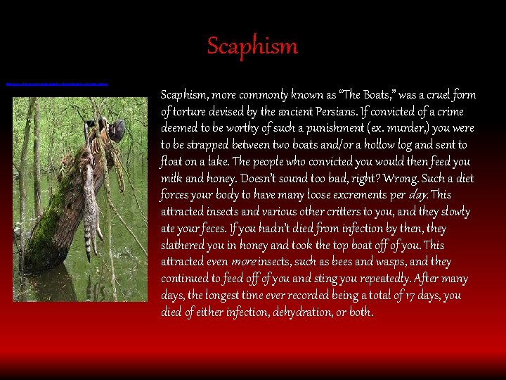 Methods of Torture Throughout the Ages By Derek