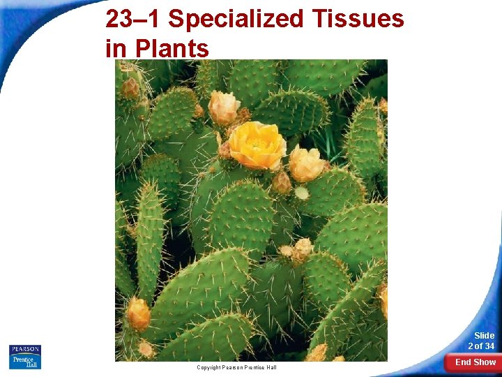 Biology Slide 1 of 34 Copyright Pearson Prentice