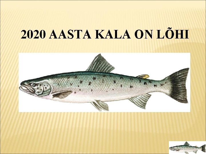 AASTA 2020 LIBLIKAS AASTA 2020 LOOM AASTA 2020