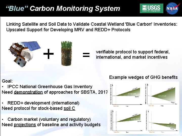 Blue Carbon Monitoring System Linking Satellite and Soil