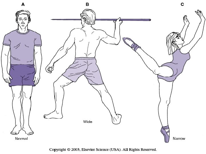 Transfer Techniques RTA Spring 2008 Body Mechanics Muscle