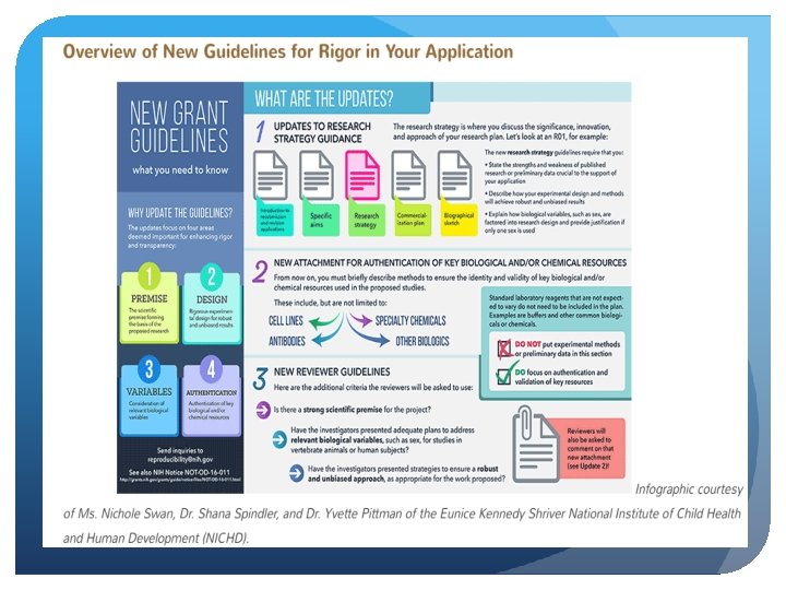 A CLOSER LOOK AT RECENT NIH APPLICATION CHANGES