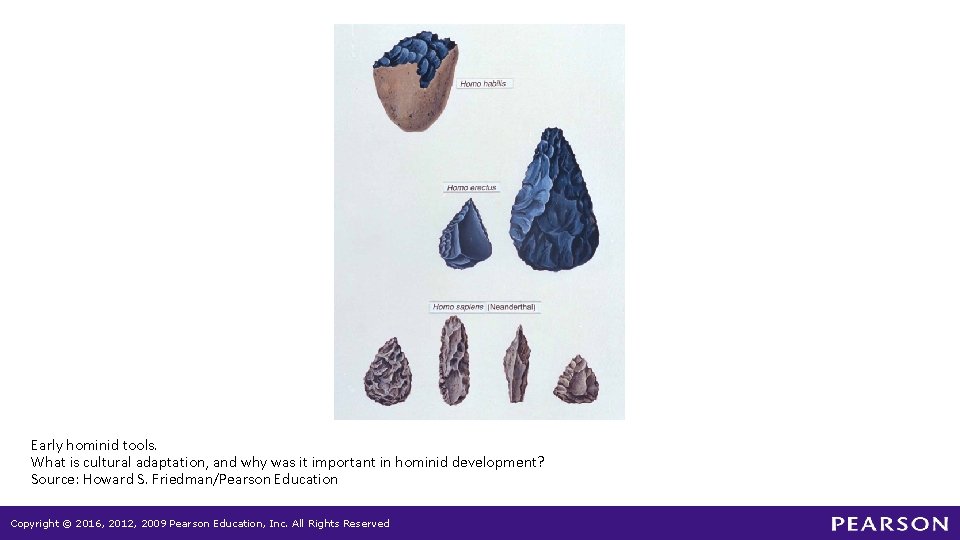 The Emergence of Human Societies to 3000 B