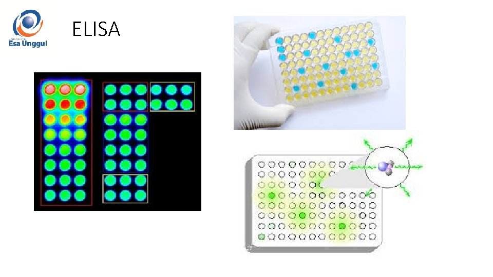 Kuliah 8 Instrumentasi Bioteknologi Aroem Naroeni Recap APD