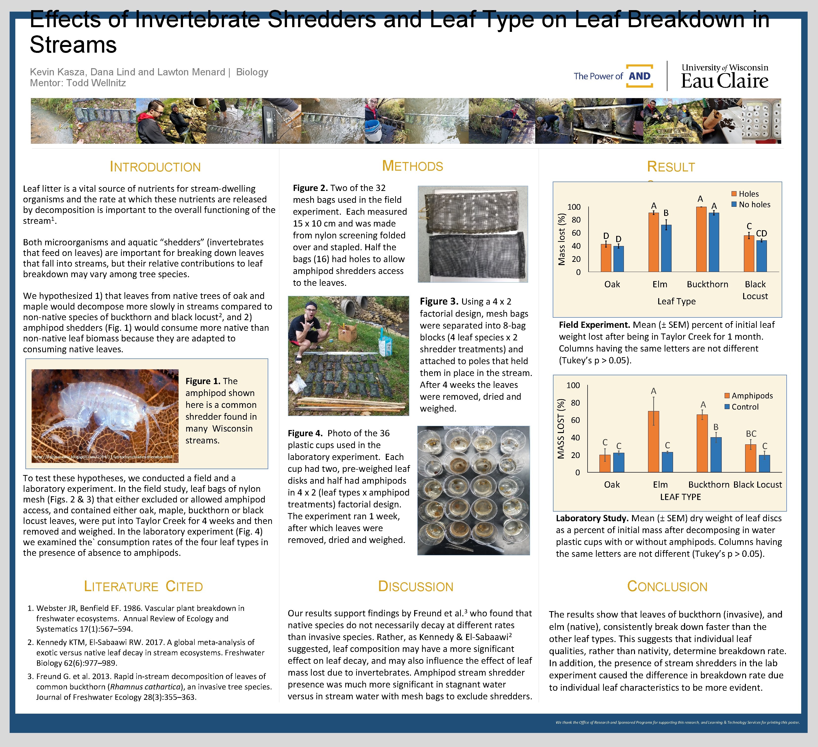 Effects of Invertebrate Shredders and Leaf Type on