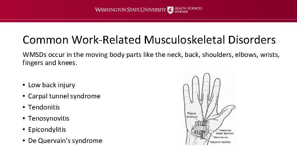Laboratory Ergonomics Department of Environmental Health Safety Ergonomics