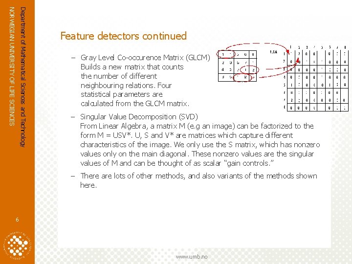 Feature extraction techniques to use in cereal classification