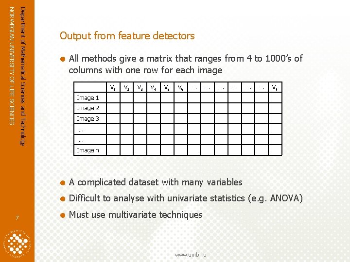 Feature extraction techniques to use in cereal classification