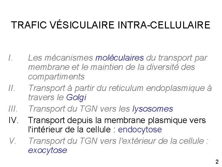 TRAFIC VSICULAIRE INTRACELLULAIRE TRAFIC VSICULAIRE INTRACELLULAIRE I III