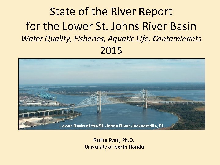 State of the River Report for the Lower