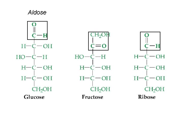 Organic Molecules Functional Groups alcohols ethers aldehydes ketones