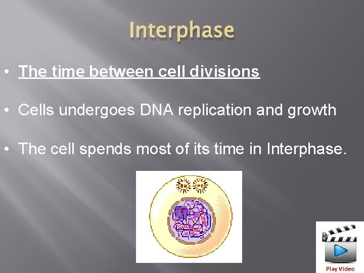 Mitosis The Cell Cycle Genetic Material Interphase Mitosis