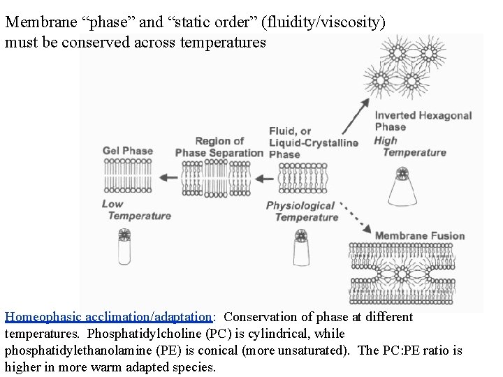 What are the environmental challenges faced by marine