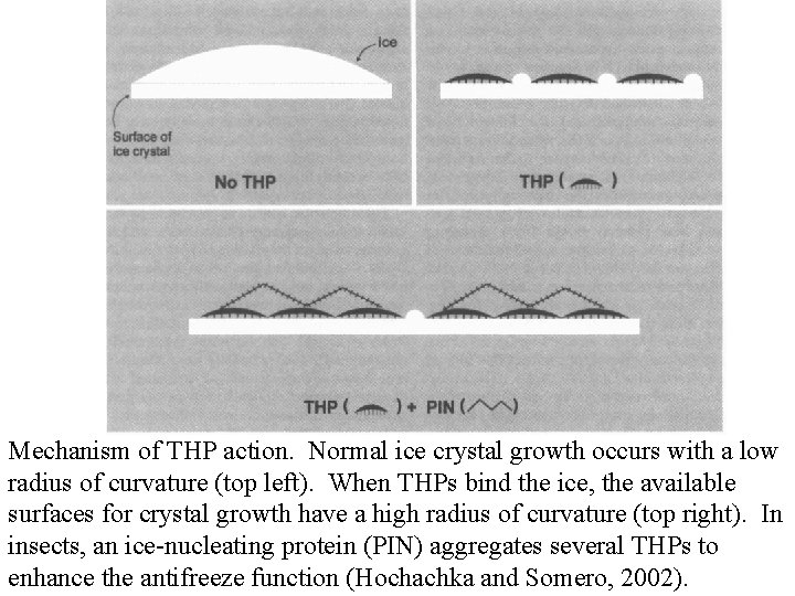 What are the environmental challenges faced by marine